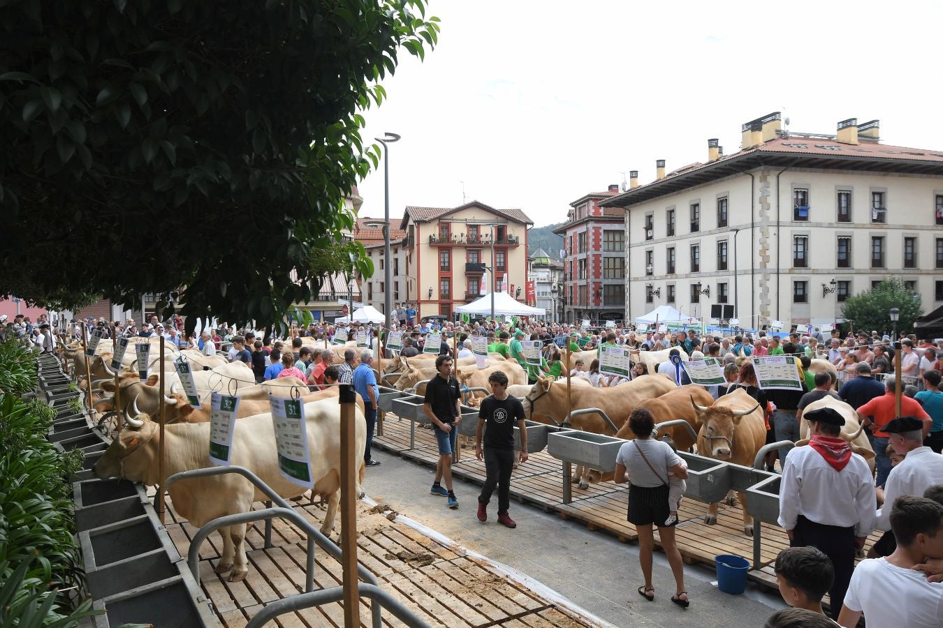 Fotos: Gran ambiente en la Feria de Ordizia | El Diario Vasco